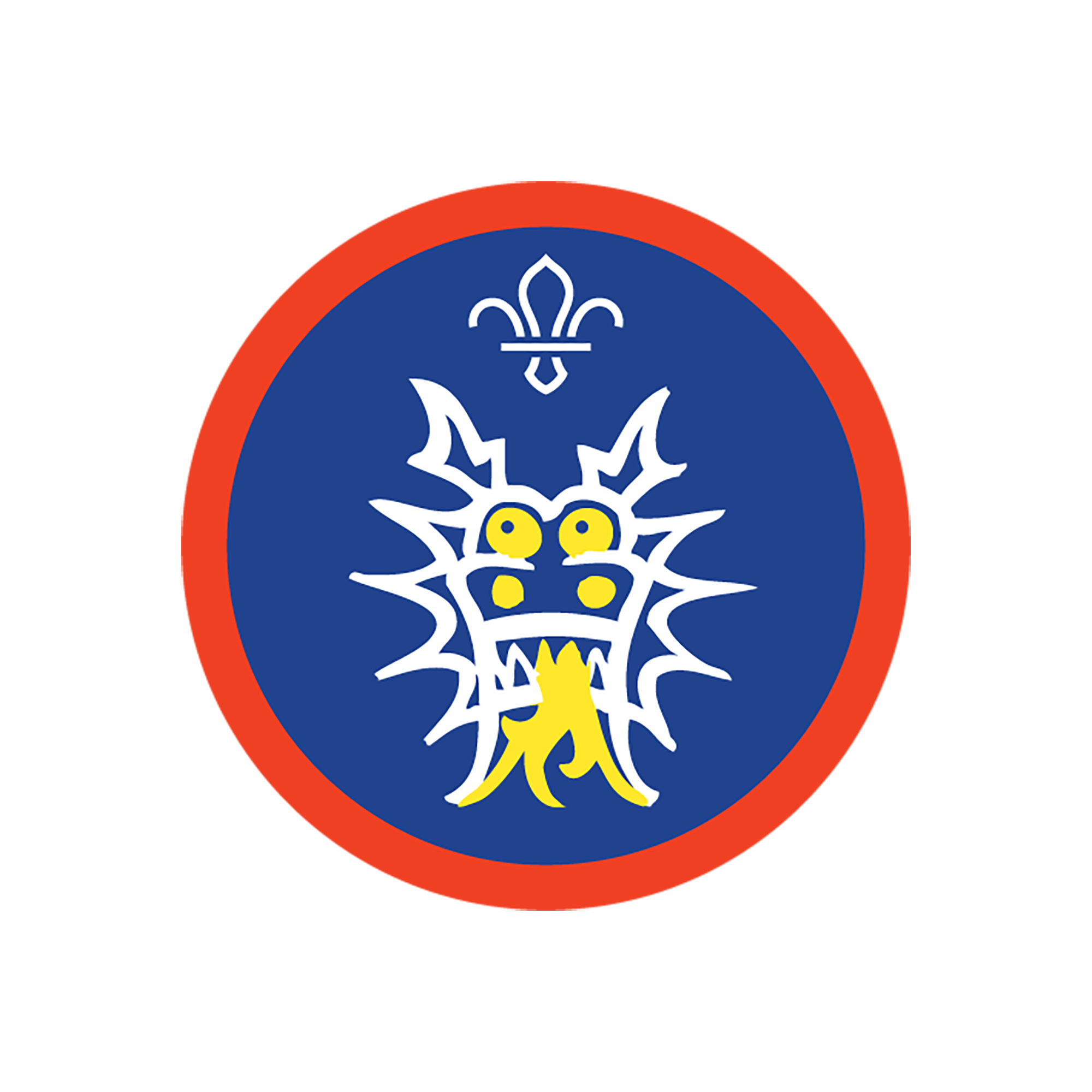 Dragon Boating | TreeTops Scout & Guide Store